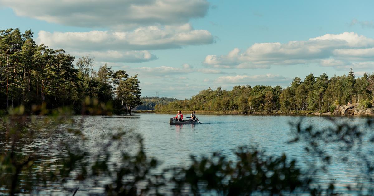 Newsworthy | Lista: Här är besöksmålet i Göteborg som får superbetyg